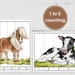 FARM Animals Number Sequence Puzzles, Printable, Skip Counting ...