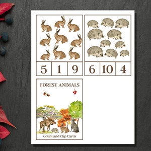 FOREST ANIMALS Count and Clip Cards, 1 to 10 Counting, Forest Animals ...