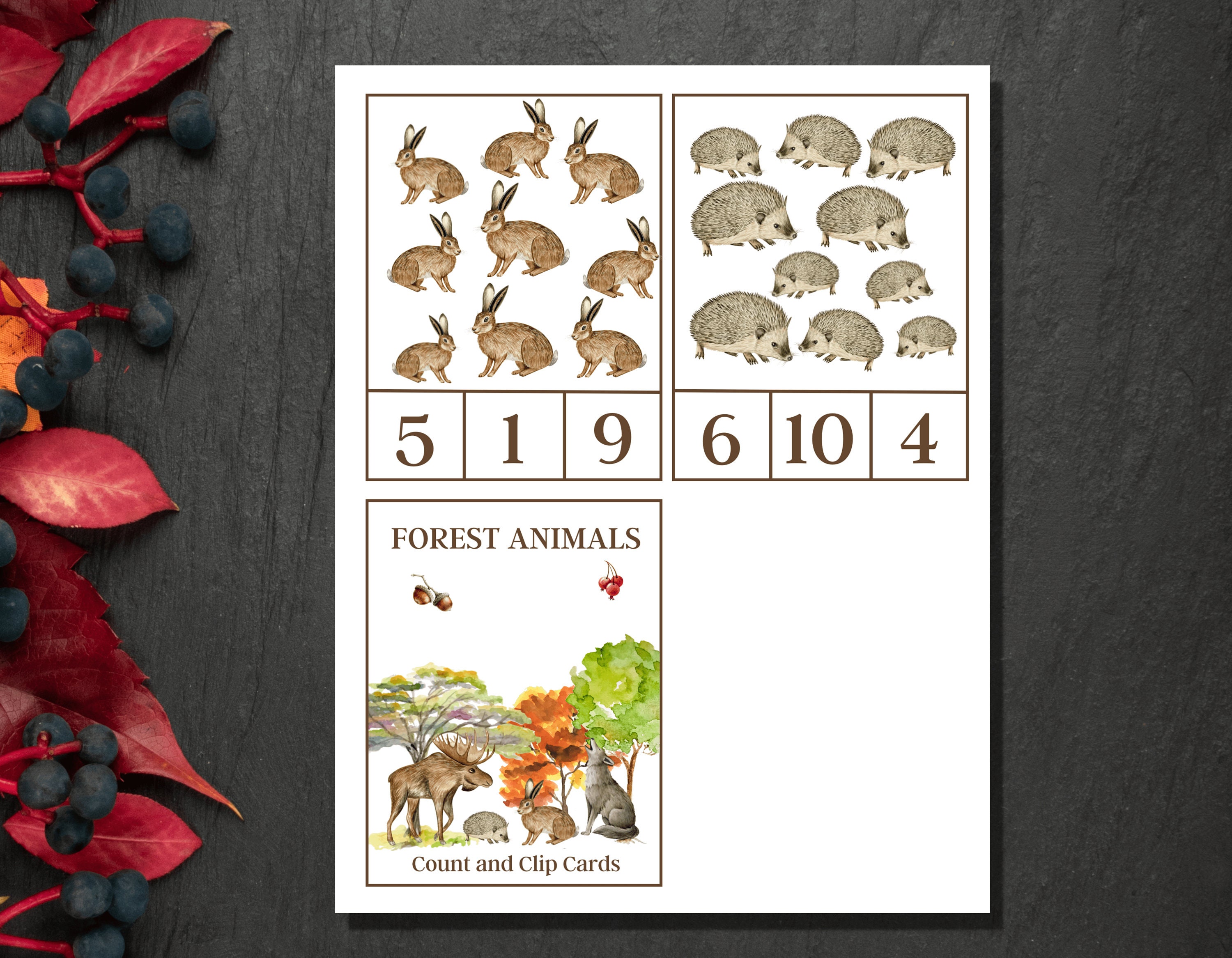 FOREST ANIMALS Count and Clip Cards, 1 to 10 Counting, Forest Animals ...