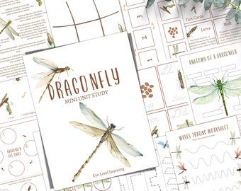 Dragonflies Nature Journaling Pack Homeschool Printable - Etsy