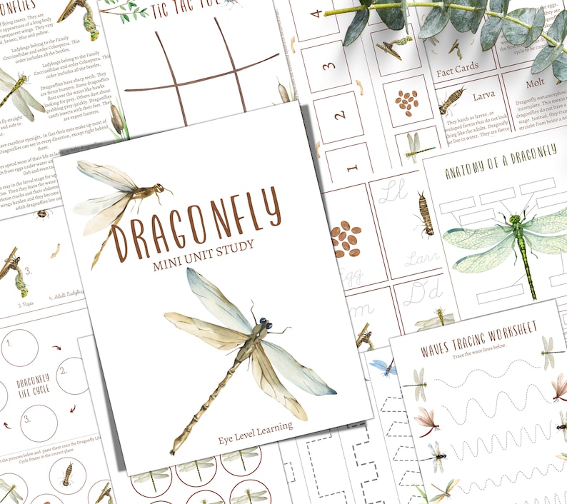 DRAGONFLY Unit Study, Life Cycle, Anatomy, Nature Study, Science ...