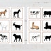 FARM ANIMALS Shadow Matching, Silhouette Matching, Montessori at Home ...