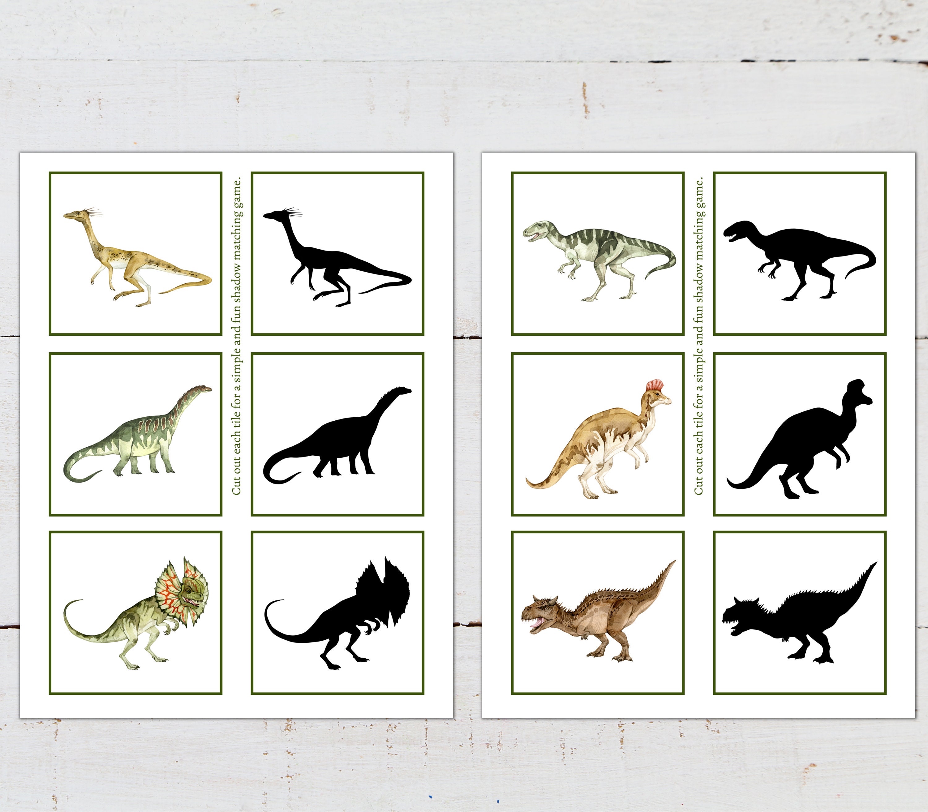 DINOSAUR Shadow Matching, Silhouette Matching, Montessori at Home ...