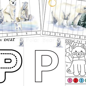 POLAR Bear Mini Unit Study, Life Cycle, Anatomy, Nature Study, Science ...