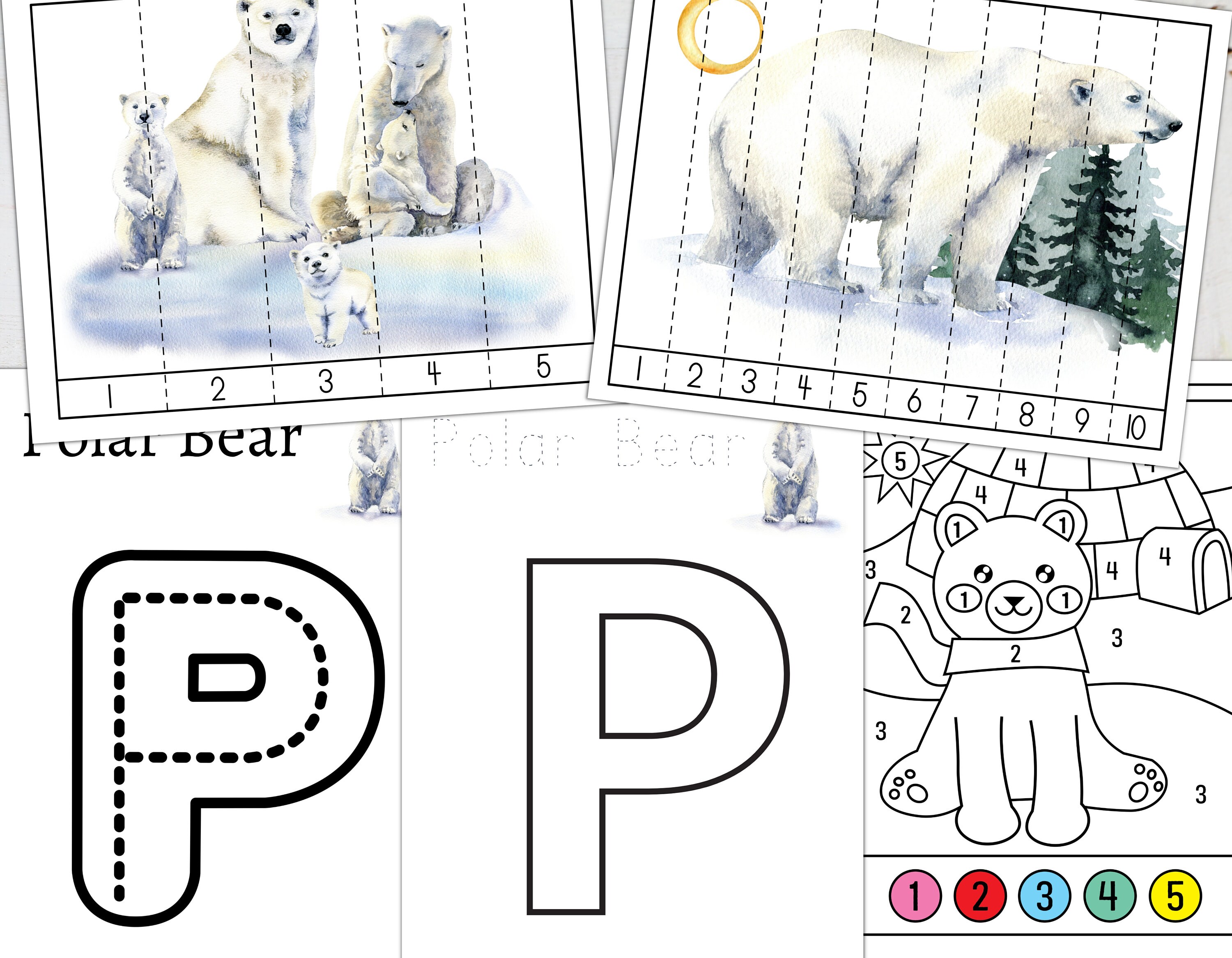POLAR Bear Mini Unit Study, Life Cycle, Anatomy, Nature Study, Science ...