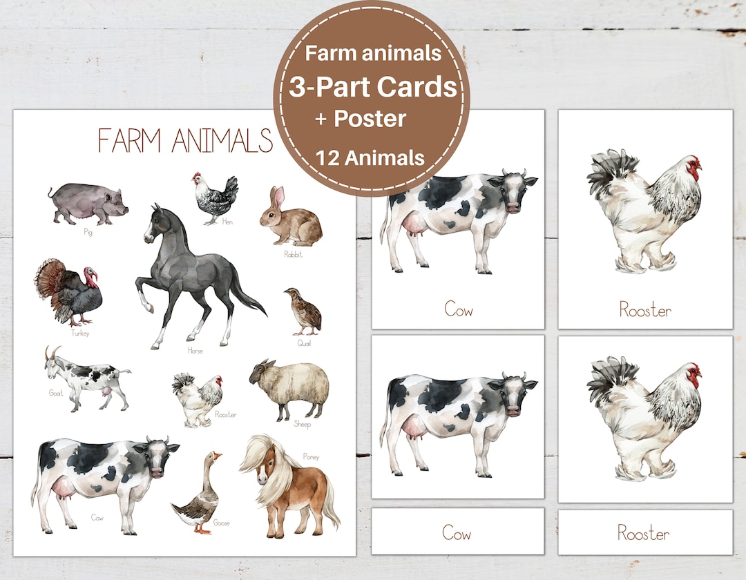 FARM ANIMALS Mini Poster + 3-part Cards, Printable, Homeschool ...