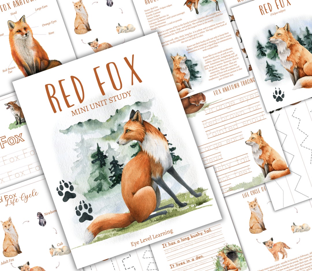 RED FOX Mini Unit Study, Life Cycle, Anatomy, Nature Study, Science ...