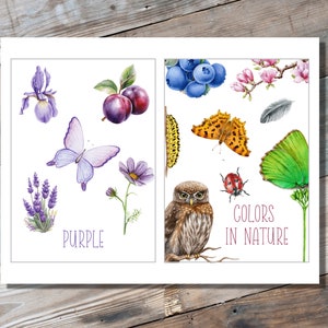 COLORS in Nature Flashcards, Color Flashcards, Vocabulary, Montessori ...