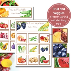 FRUIT & VEGGIES Pre-k and K Activity Pack, Homeschool, Digital, Instant ...
