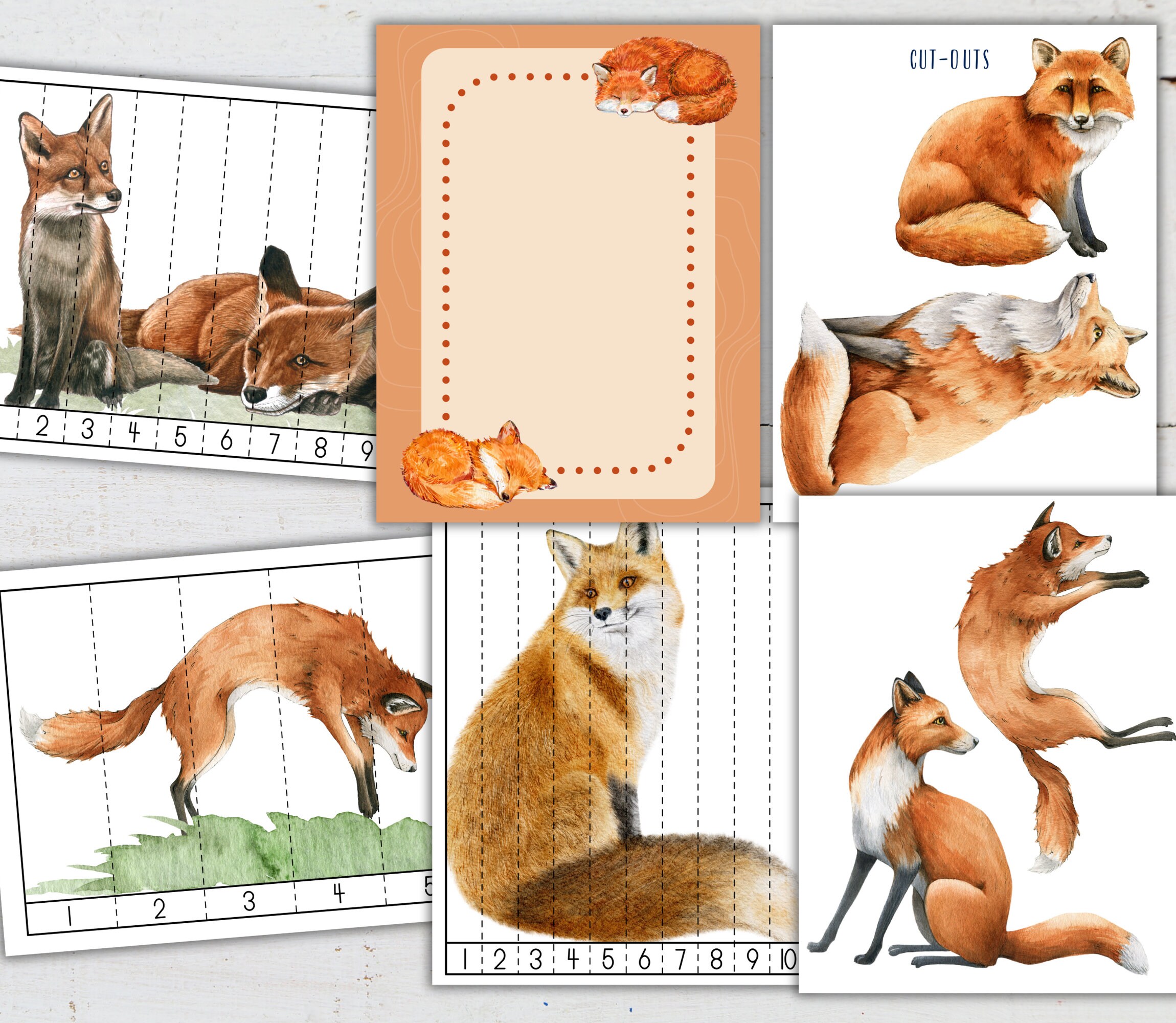 RED FOX Mini Unit Study, Life Cycle, Anatomy, Nature Study, Science ...