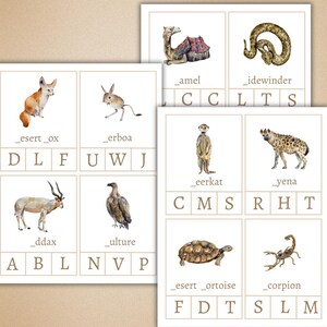 DESERT Animals Pre-k and K Activity Pack, Homeschool, Digital, INSTANT ...
