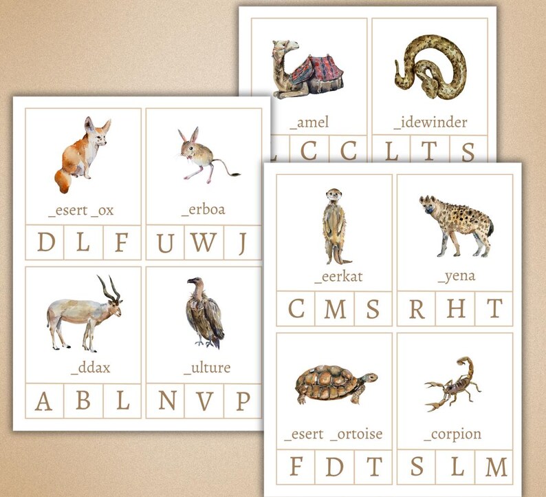 DESERT Animals Pre-k and K Activity Pack, Homeschool, Digital, INSTANT ...