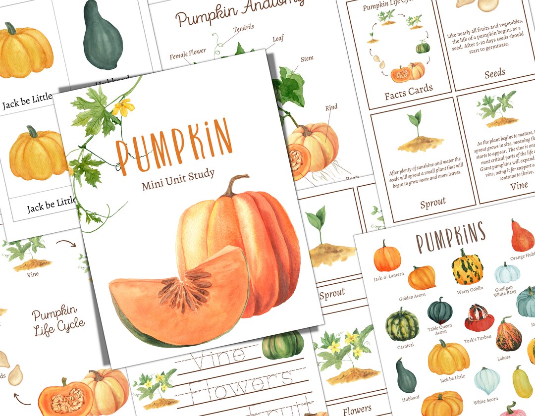PUMPKIN Mini Unit Study, Life Cycle, Anatomy, Nature Study, Science ...