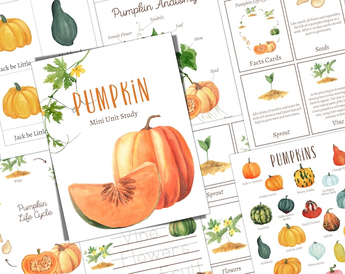 Pumpkin Unit Study, Pumpkin Anatomy and Life Cycle, Pumpkin Varieties ...