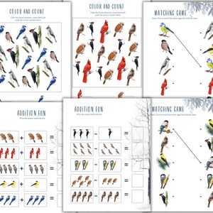 WINTER BIRDS Unit Study, Life Cycle, Anatomy, Nature Study, Science ...