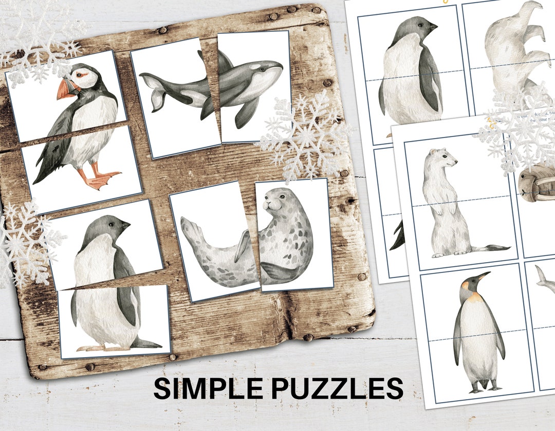 POLAR Animals Simple Puzzles, Printable, Preschool Activity, Kids ...