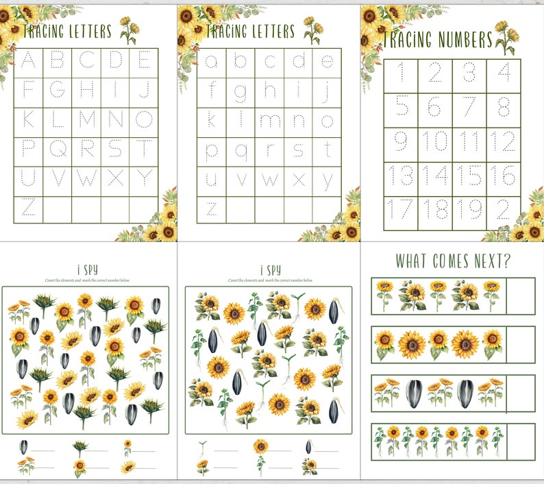 SUNFLOWER Unit Study, Life Cycle, Anatomy, Nature Study, Science ...