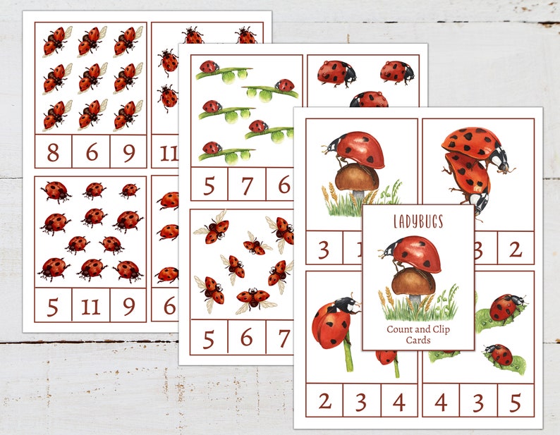 LADYBUG Unit Study Life Cycle Anatomy Nature Study - Etsy