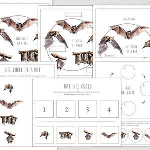 HALLOWEEN NATURE BUNDLE, Snake, Bat, Pumpkin, Wolf Unit Studies ...