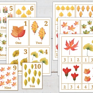 AUTUMN LEAVES Pre-k and K Activity Pack, Homeschool, Digital, Instant ...