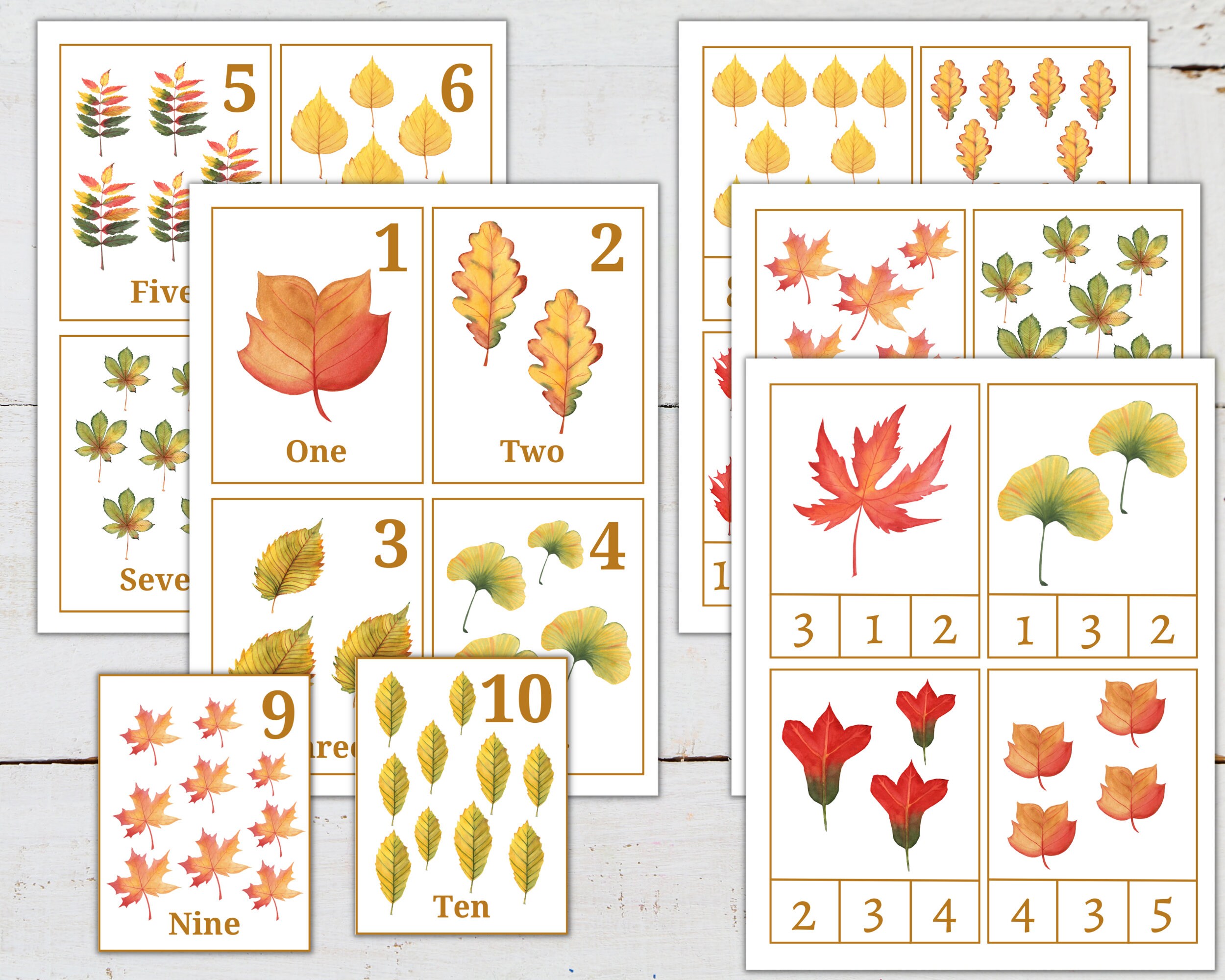 AUTUMN LEAVES Pre-k and K Activity Pack, Homeschool, Digital, Instant ...