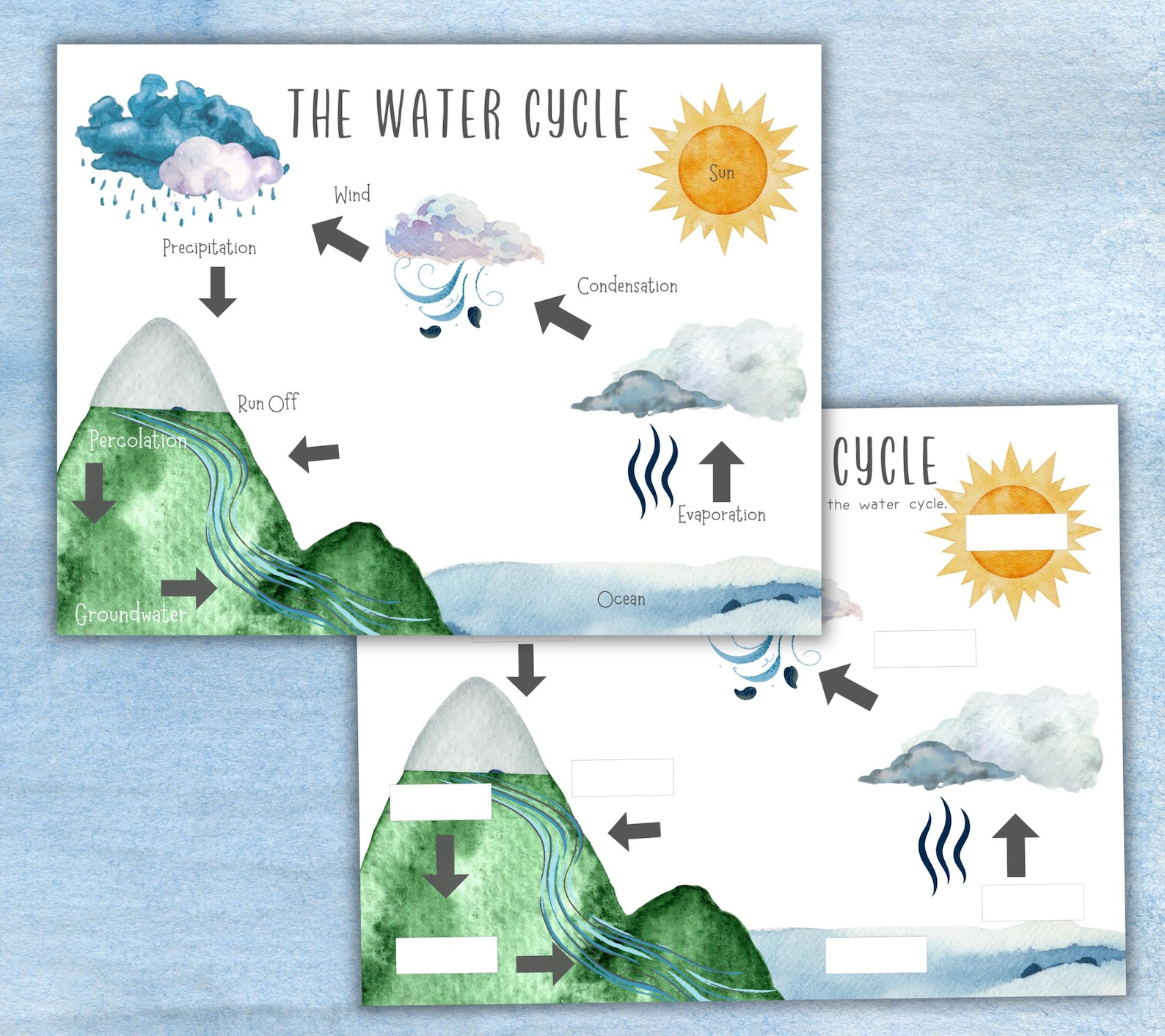 Water Cycle Posters + Labeling Activity, INSTANT DOWNLOAD, DIGITAL - Etsy