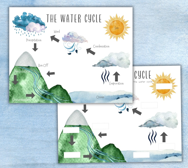 Water Cycle Posters + Labeling Activity, INSTANT DOWNLOAD, DIGITAL - Etsy