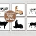 Mother and Baby Farm Animal Matching Cards and Flash Cards. Montessori ...