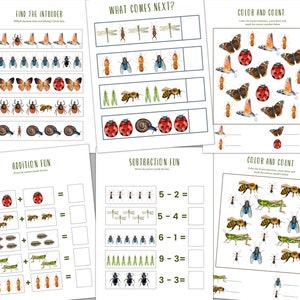 SUMMER BUNDLE, Summer Camping, Butterfly, Forest and Minibeasts ...