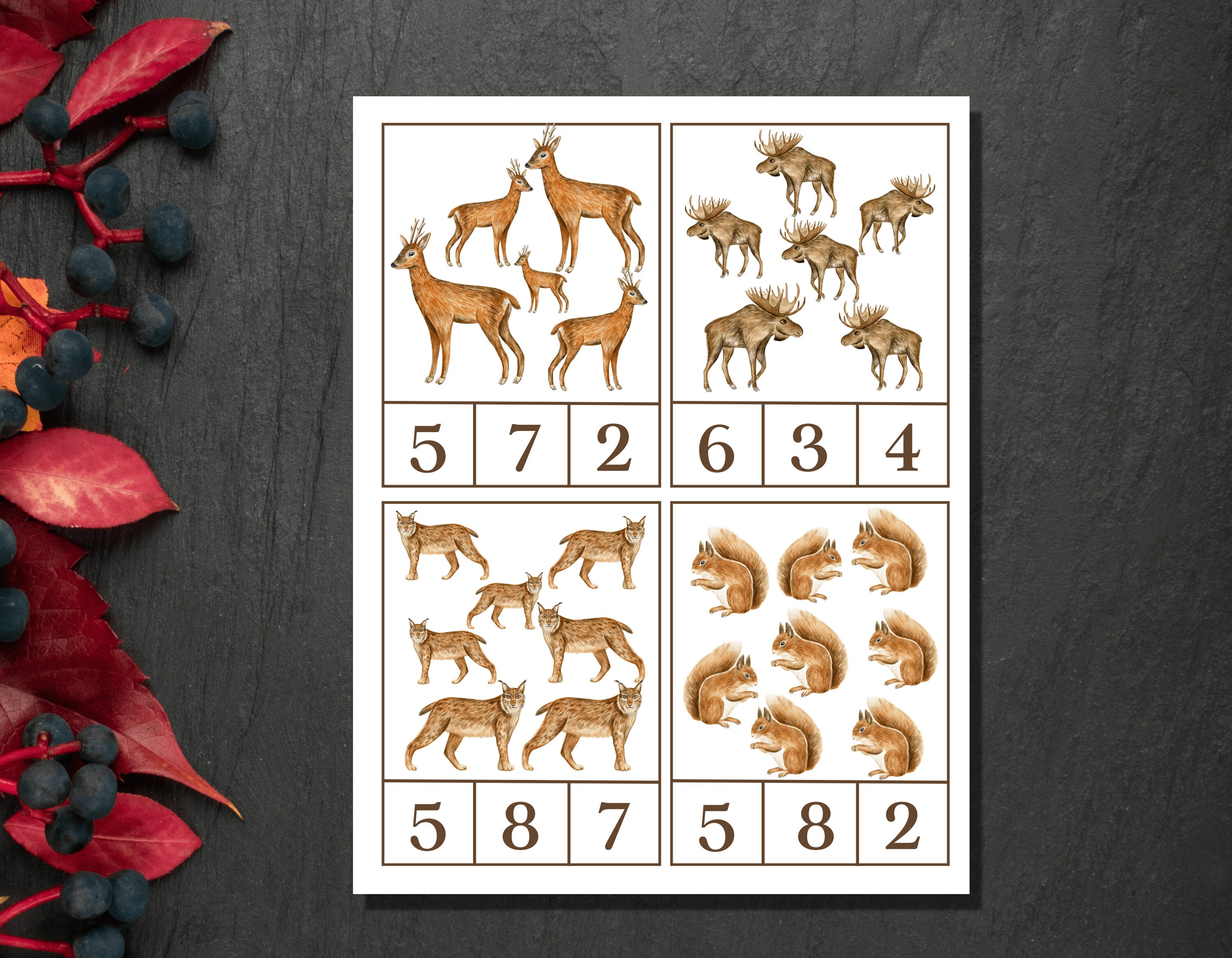 FOREST ANIMALS Count and Clip Cards, 1 to 10 Counting, Forest Animals ...