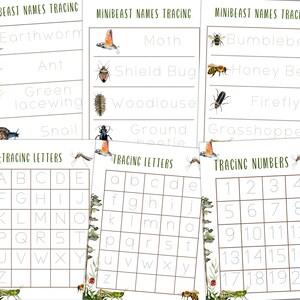 MINIBEASTS Pre-k and K Activity Pack, Homeschool, Digital, Instant ...