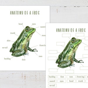 FROG Unit Study, Life Cycle, Anatomy, Nature Study, Science, Homeschool ...