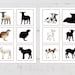 FARM ANIMALS Shadow Matching, Silhouette Matching, Montessori at Home ...