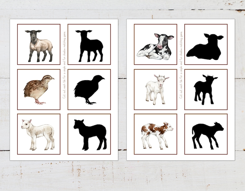 FARM ANIMALS Shadow Matching, Silhouette Matching, Montessori at Home ...