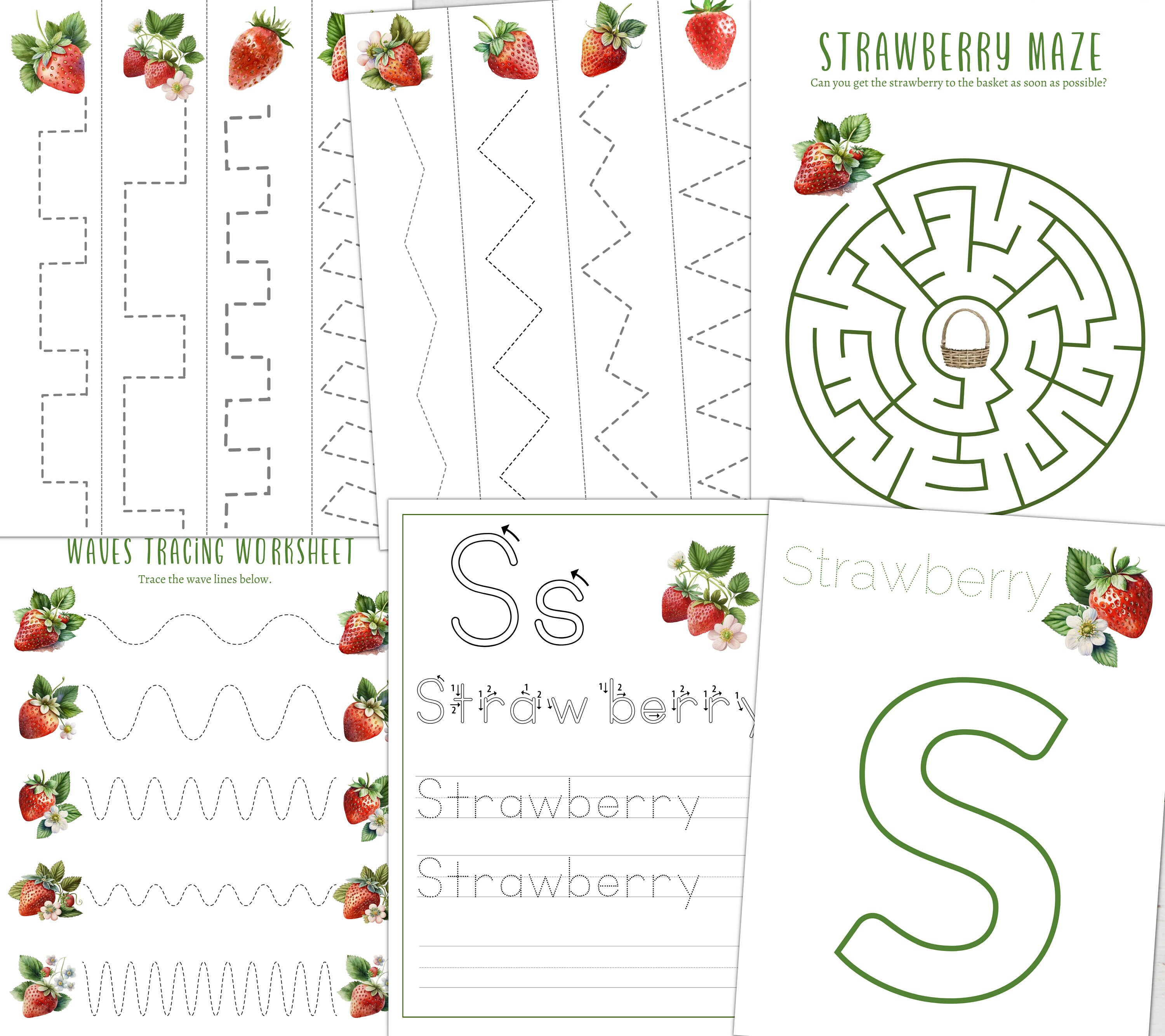 STRAWBERRY Unit Study Life Cycle Anatomy Nature Study - Etsy Canada