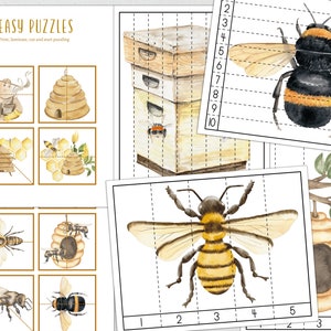 BEE Unit Study, Life Cycle, Anatomy, Nature Study, Science, Homeschool ...