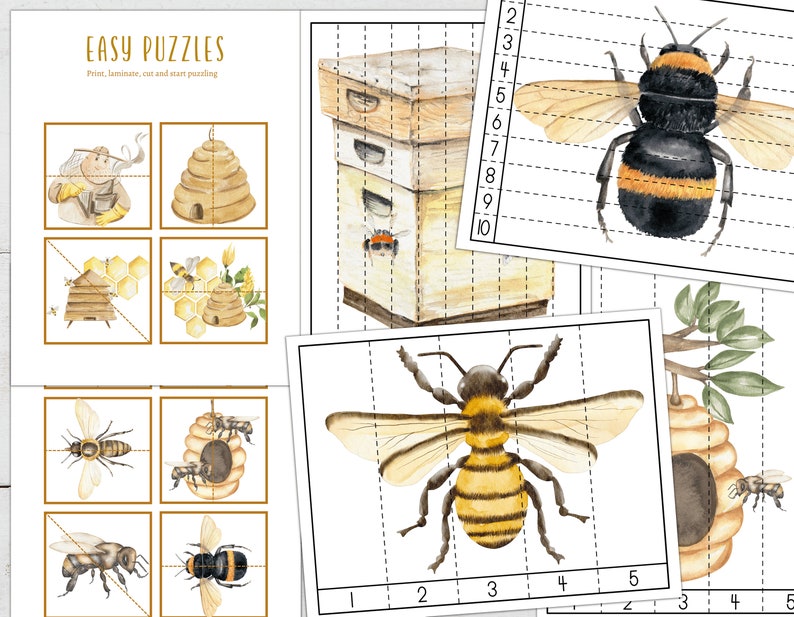 BEE Unit Study Life Cycle Anatomy Nature Study Science - Etsy