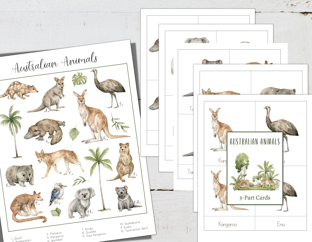 AUSTRALIAN ANIMALS Mini Poster + 3-part Cards, Homeschool, Montessori ...