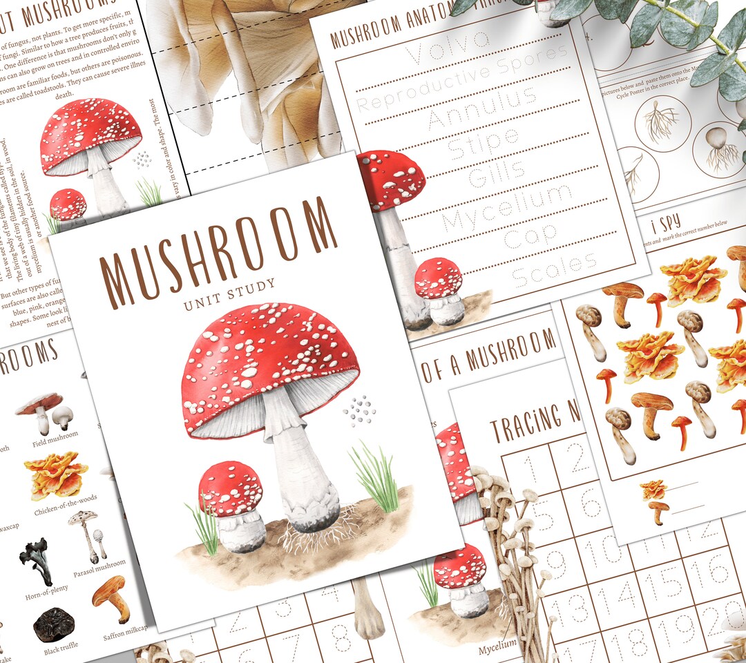 MUSHROOM Unit Study, Life Cycle, Anatomy, Nature Study, Science ...
