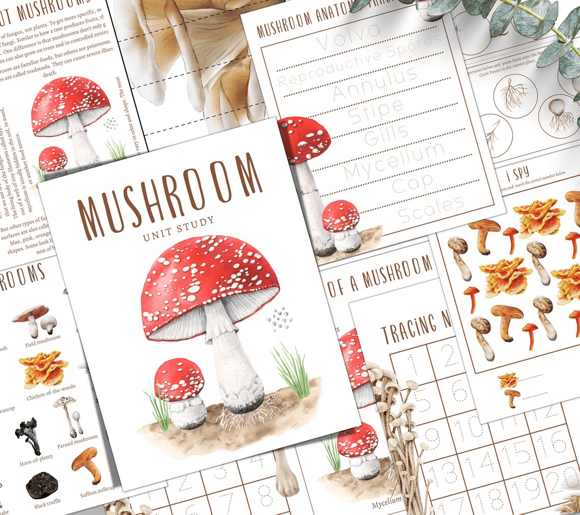 MUSHROOM Unit Study Life Cycle Anatomy Nature Study - Etsy