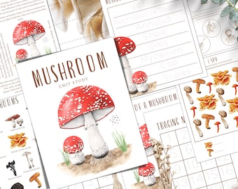 Mushroom Life Cycle Nature Study - Etsy