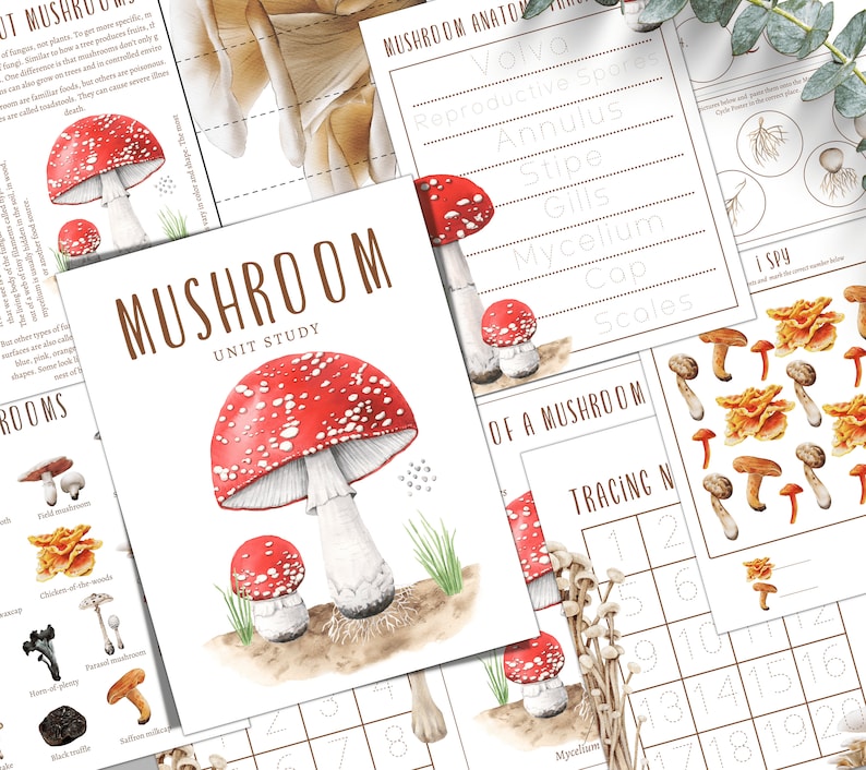 MUSHROOM Unit Study Life Cycle Anatomy Nature Study - Etsy