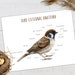 BIRD External Anatomy Poster, Labeling and Tracing Activity, Homeschool ...
