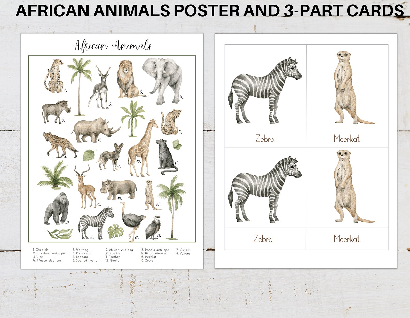 AFRICAN ANIMALS Mini Poster + 3-part Cards, Homeschool, Montessori ...