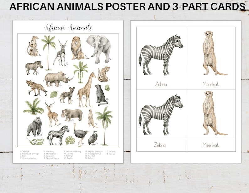 AFRICAN ANIMALS Mini Poster 3-part Cards, Homeschool, Montessori ...