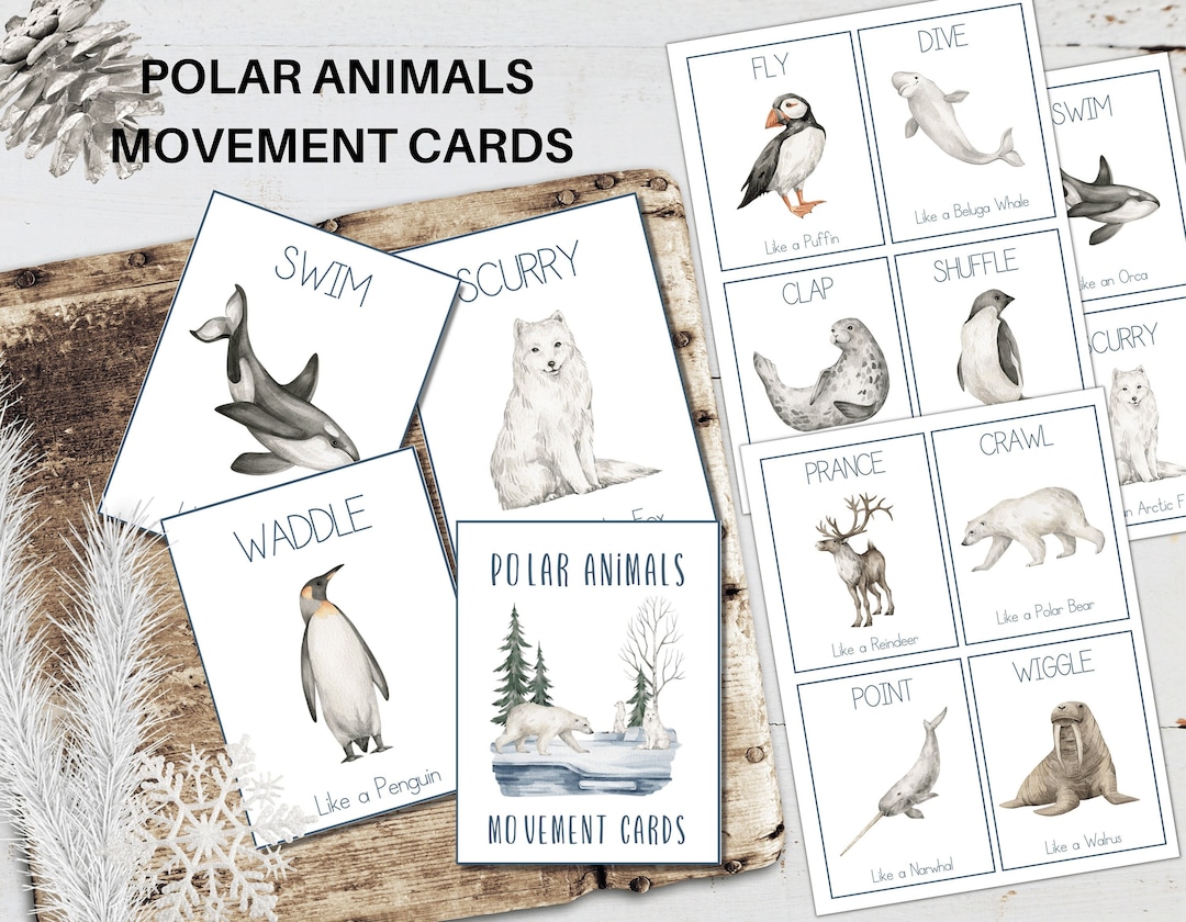 POLAR Animals MOVEMENT CARDS, Forest Animals, Calm Down Activity, Kids ...