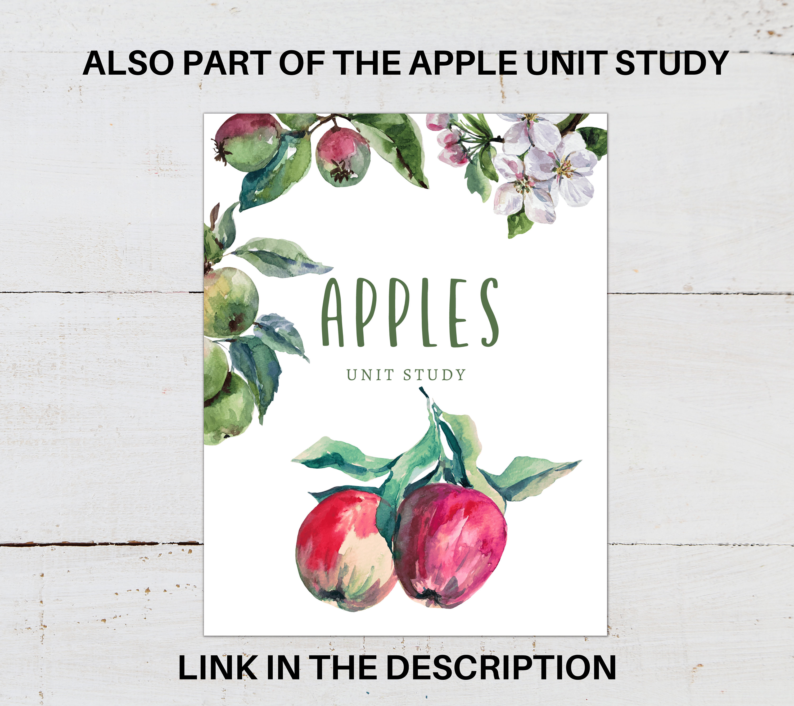 APPLE Anatomy Posters, Labeling and Tracing Activity, Homeschool ...