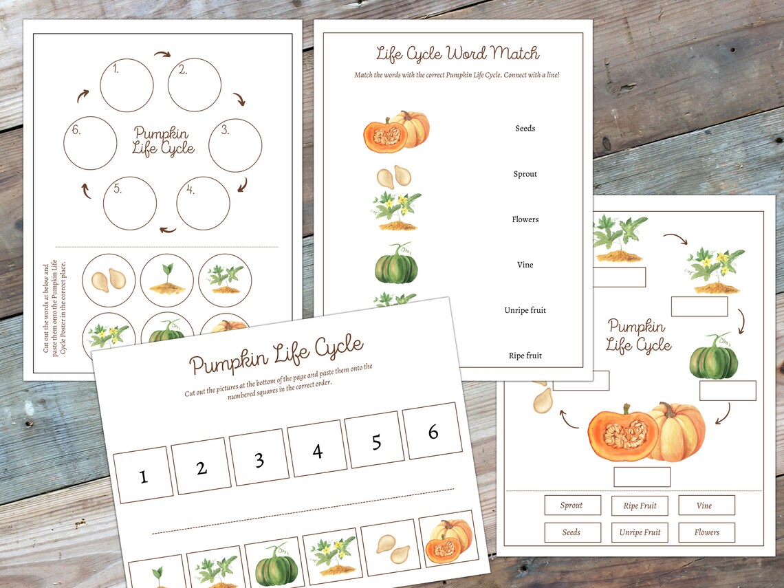 PUMPKIN LIFE CYCLE, Posters, 3-part Cards, Fact Cards, Tracing ...