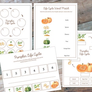 PUMPKIN LIFE CYCLE, Posters, 3-part Cards, Fact Cards, Tracing ...