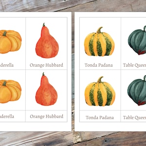 PUMPKIN Varieties Mini Poster + 3-part Cards, Homeschool, Montessori ...